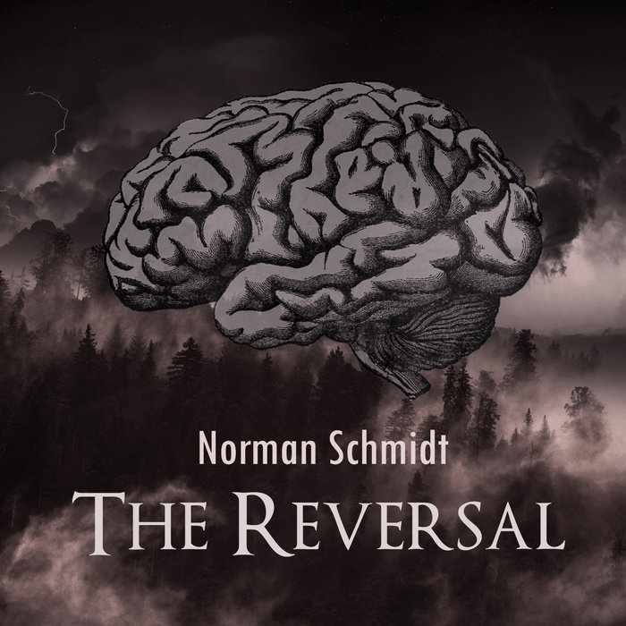 The Reversal | Norman Schmidt