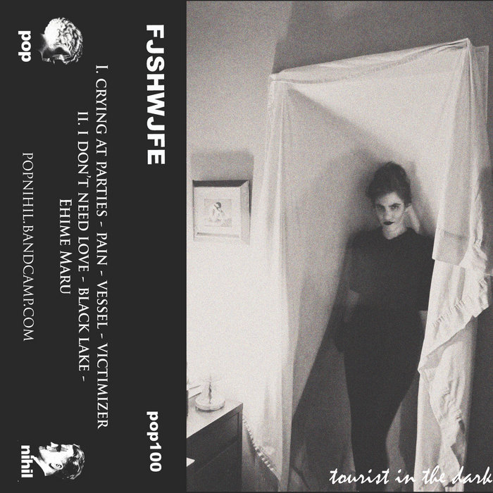 Tourist in the Dark | Fjshwjfe | popnihil