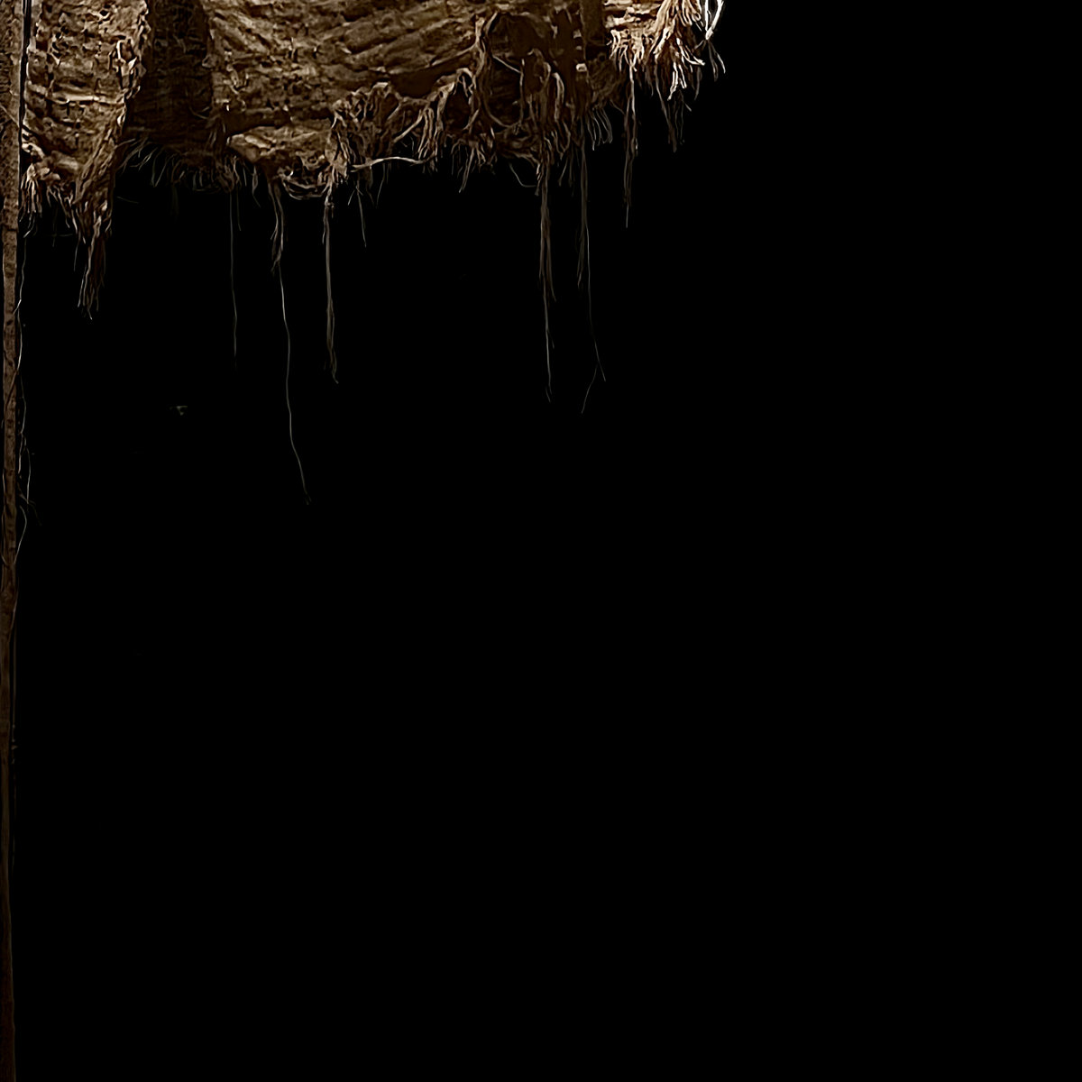 Musings | Jacob Topen