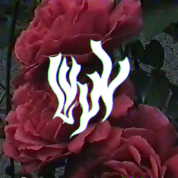 LvvV | The Bernadette Maries