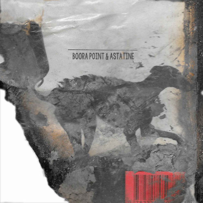 Boora point / Astatine 'untitled 10"' | ASTATINE