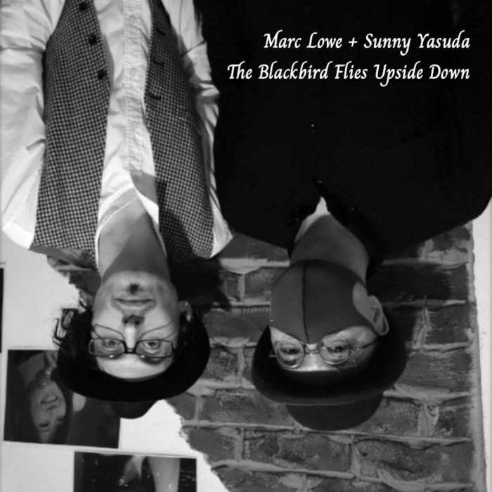 The Blackbird Flies Upside Down (2020 -- Compilation) | Marc Lowe ...