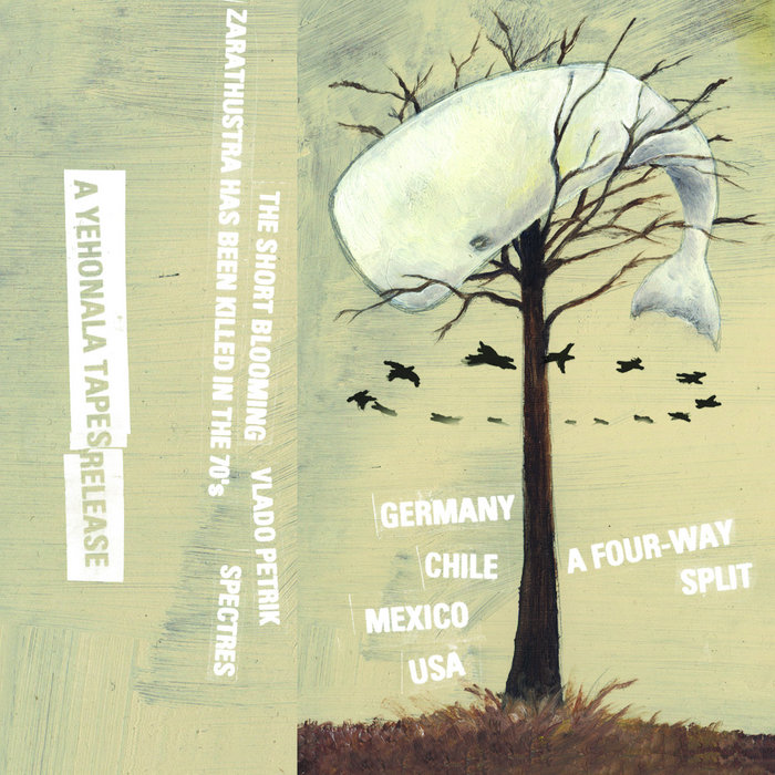 4 way split | yehonala tapes