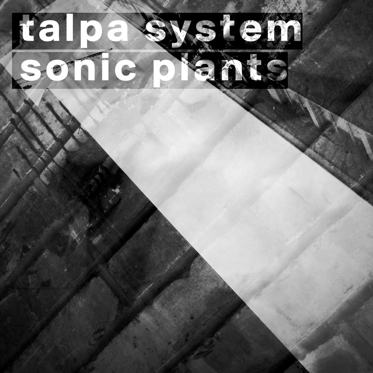 Sonic Plants | Talpa System