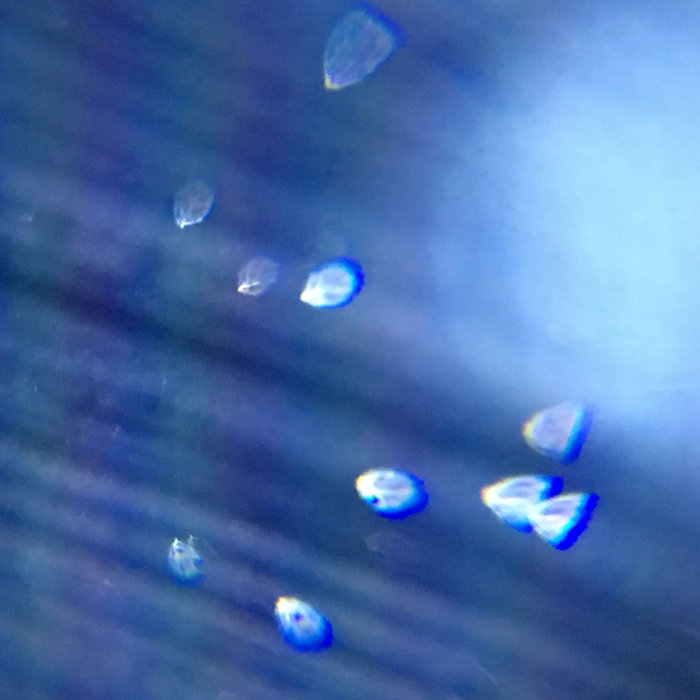 Atlantis Float | Anthony Lackey