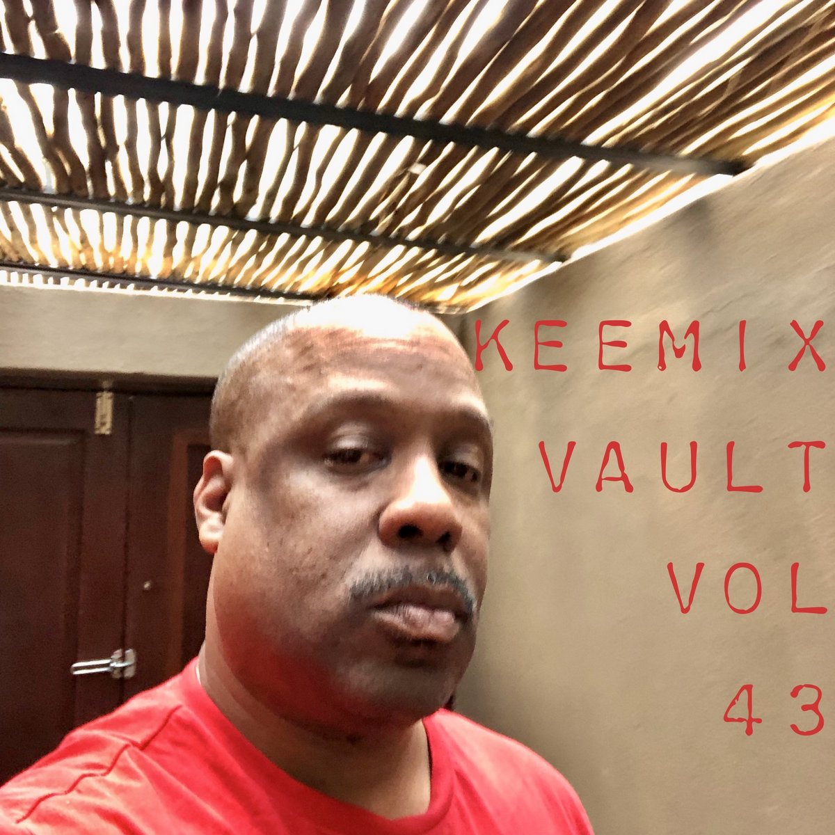 Caron Wheeler - Livin In the Life (Keemix) | Hakeem Syrbram