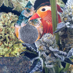 Yen Pox | Paa Annandalii | Celestial Paths Ltd.