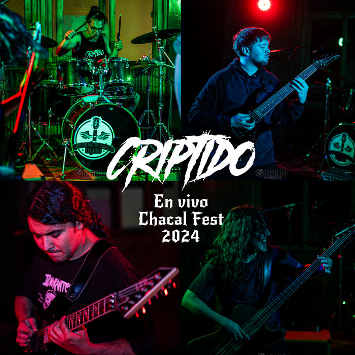 Criptido en vivo Chacal Fest 2024 | CRIPTIDO