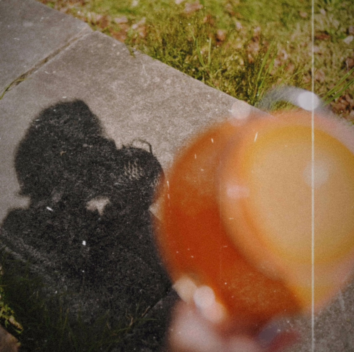 Tangle's Way | Michael Nau