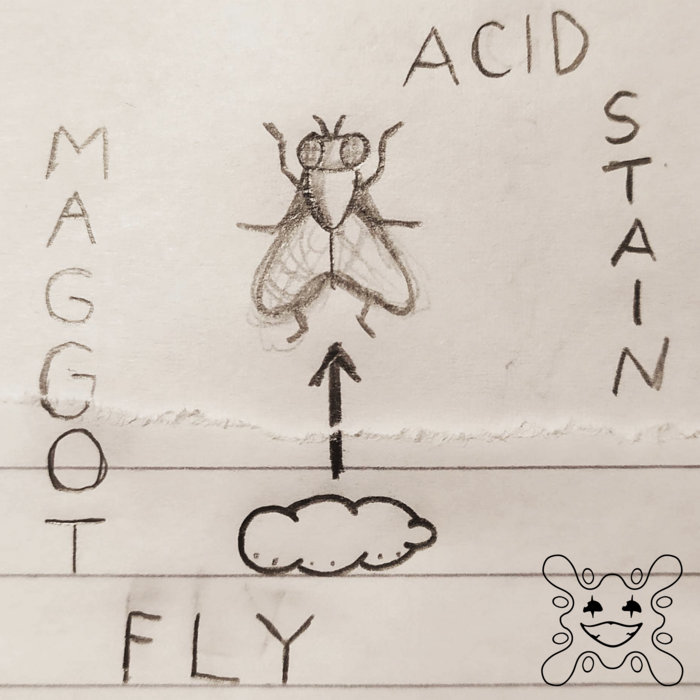 Maggot/Fly | Acid Stain
