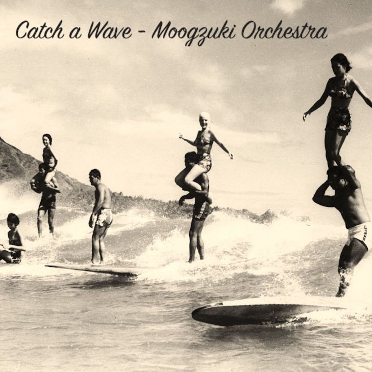 Catch A Wave | Moogzuki Orchestra | Steve Skinner