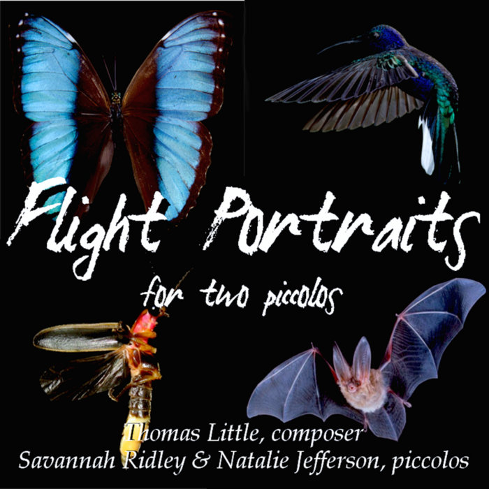 Flight Portraits | Thomas Little