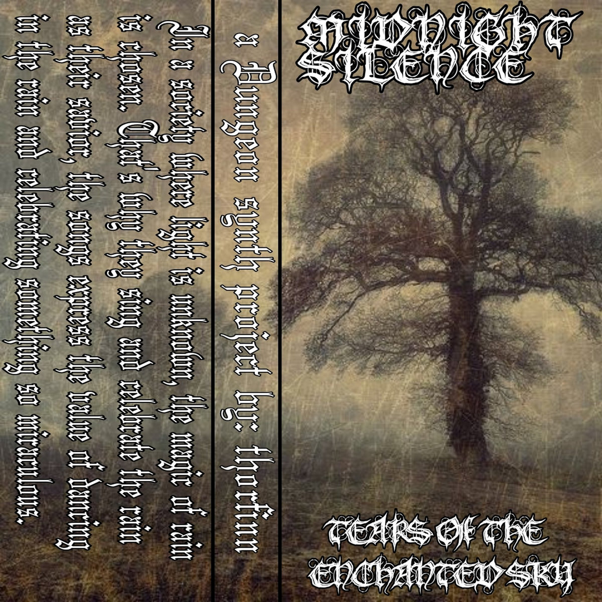 Tears of the enchanted sky | Midnight silence | midnight silence