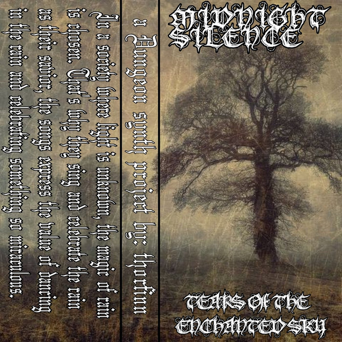 Tears of the enchanted sky | Midnight silence | midnight silence