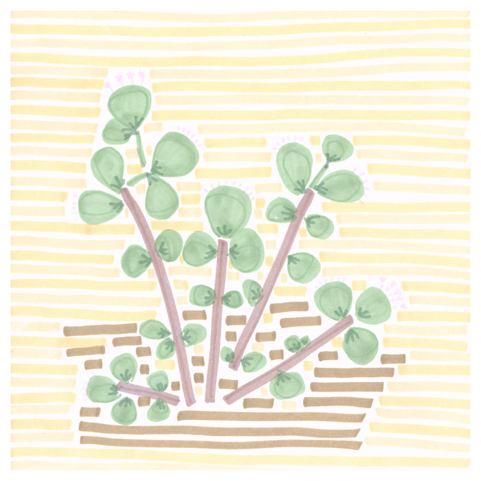 sketchbook (2022) | Danny Clay