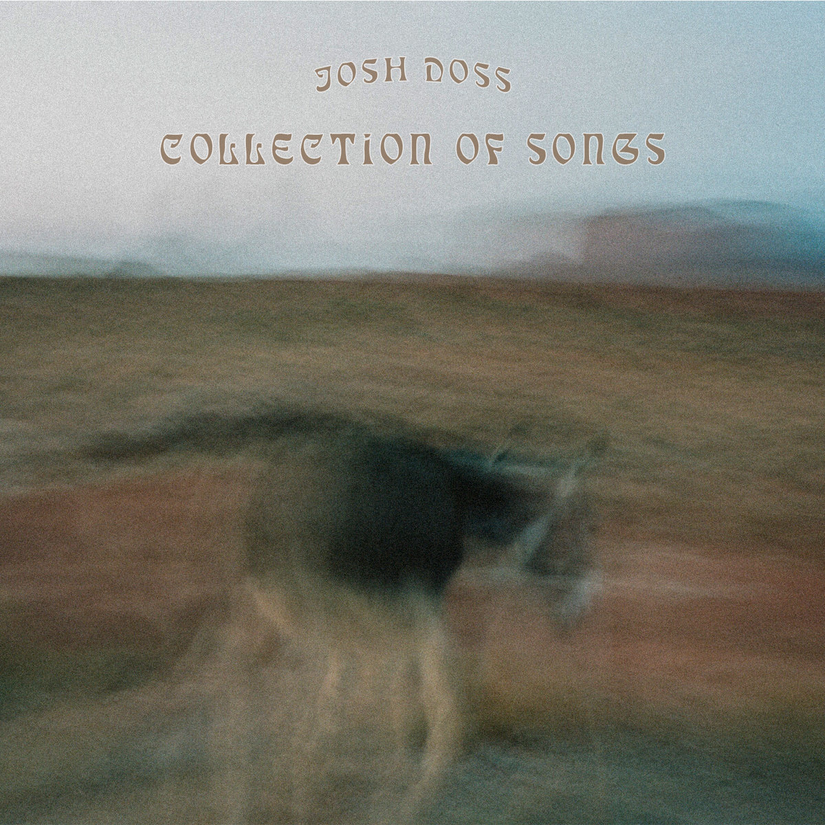 Collection of Songs | Josh Doss