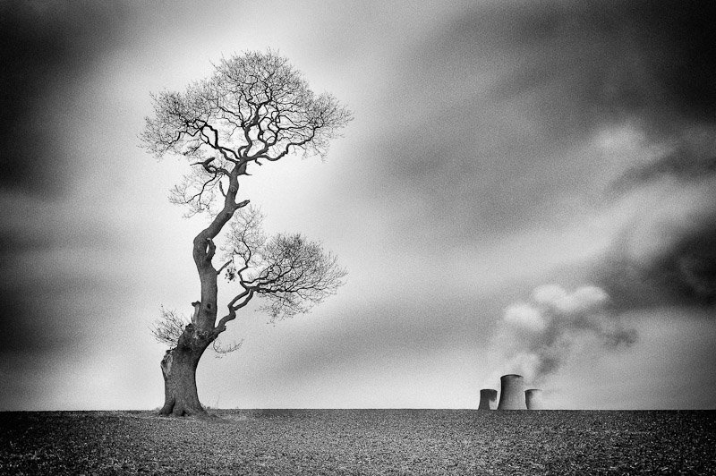 7. Final Winter | Robert Curzon