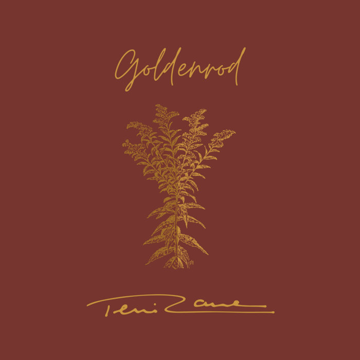 Goldenrod | Teni Rane