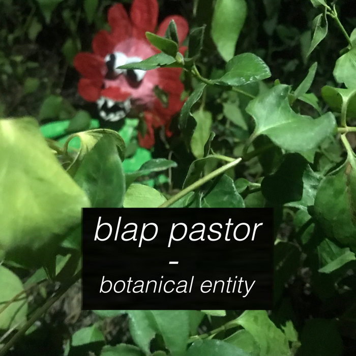 Botanical Entity | blap pastor | Raptor Chapter