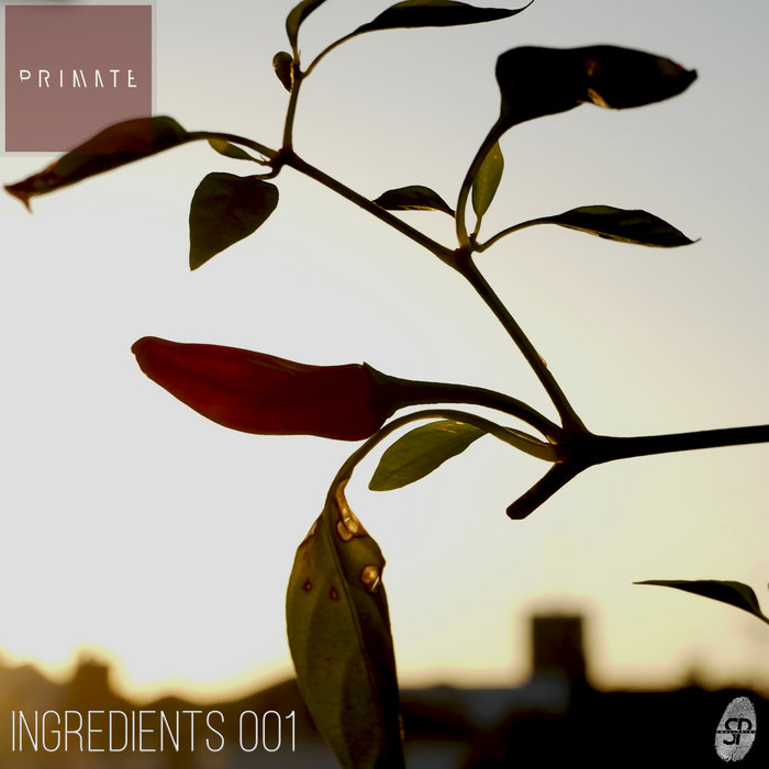 SmallPrint Ingredients 001 | Primate | SmallPrint Recordings