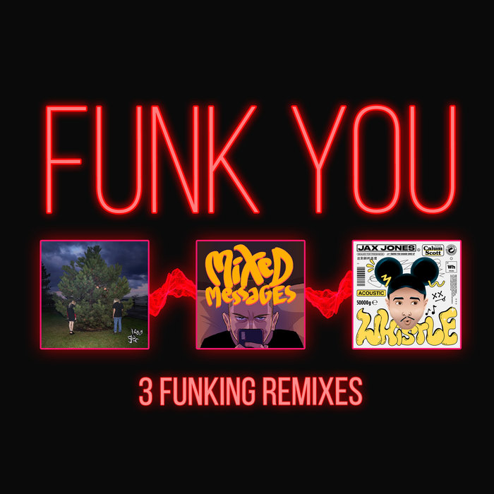 Funk You (Remixes) | ScalieBloke