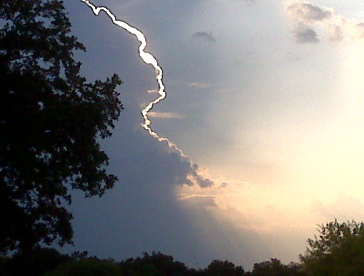 Pound For Pound | Mike Braudrick