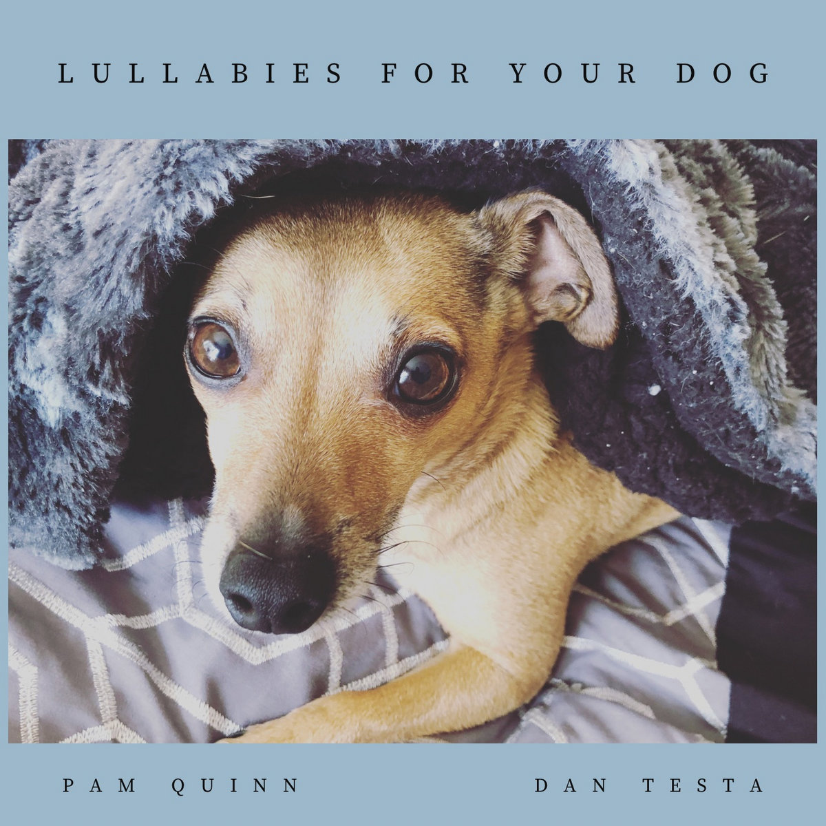 Lullabies For Your Dog | Pam Quinn, Dan Testa, Casper | Casper and Pam
