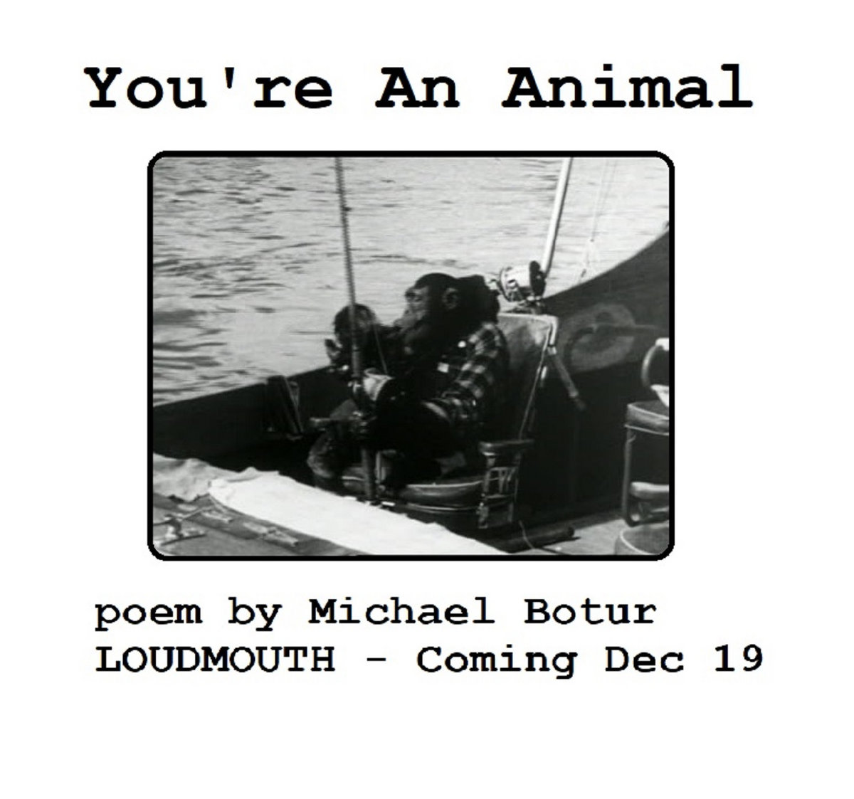 You're an animal | Michael Botur