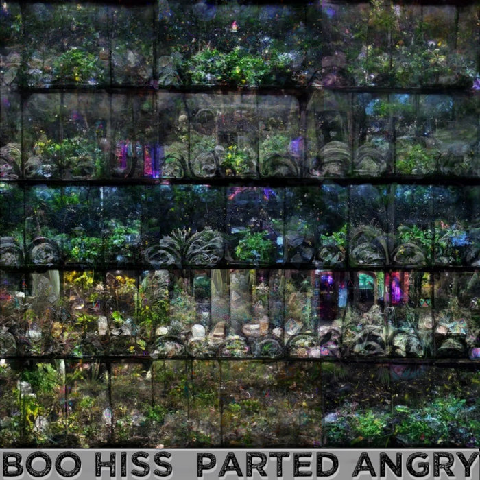 PARTED ANGRY | Boo Hiss | Boo Hiss / Books on Tape