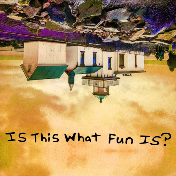 Is This What Fun Is? | Morgan Pfiffner