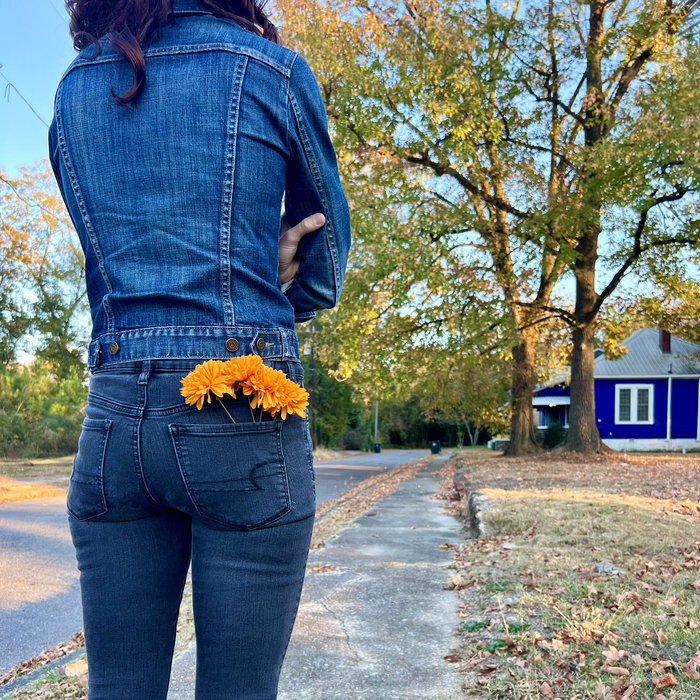 Broad Strokes | Sylvia Rose Novak