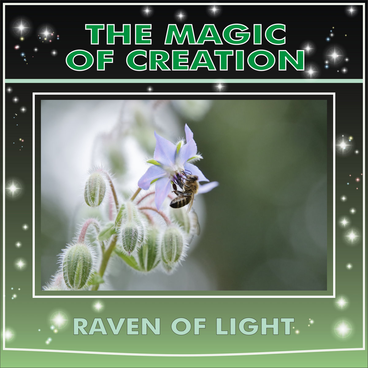 The Magic of Creation | Raven of Light