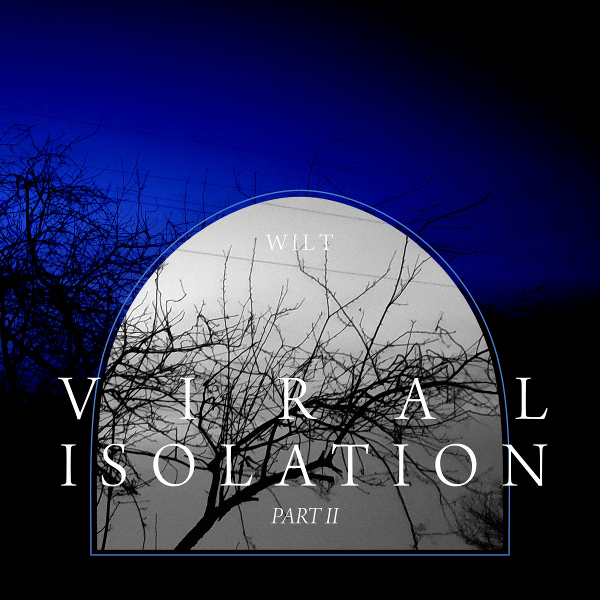 VIRAL ISOLATION PART II | WILT