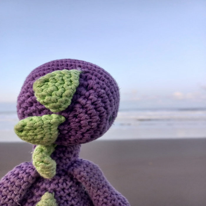 Playa | fran carzino