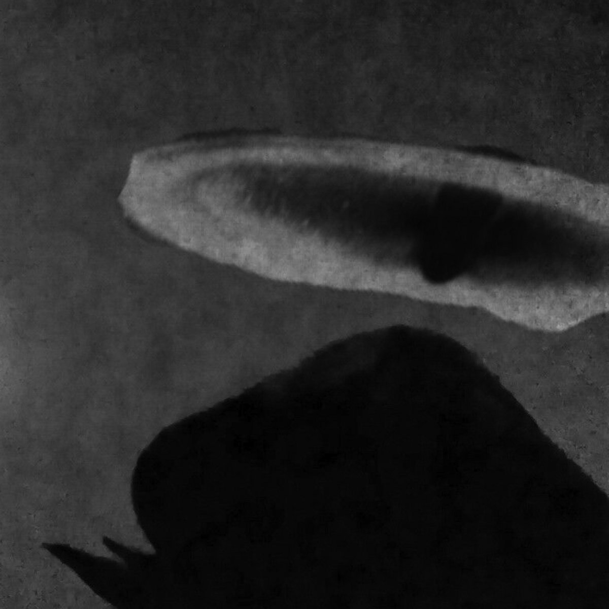 Computer Angel | Samastra