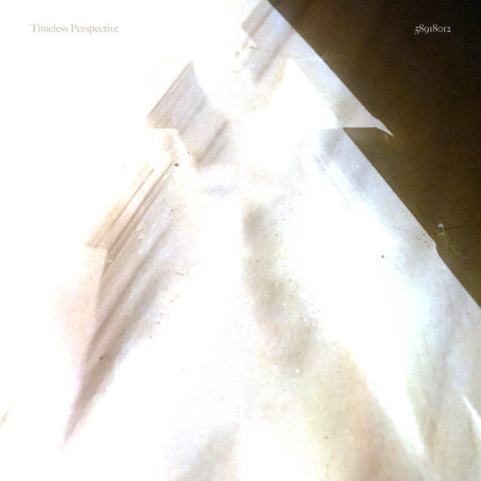 Timeless Perspective | 58918012