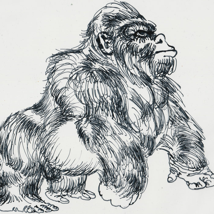 Gorilla Mambo | Steam Skunk | Ben Leinenbach