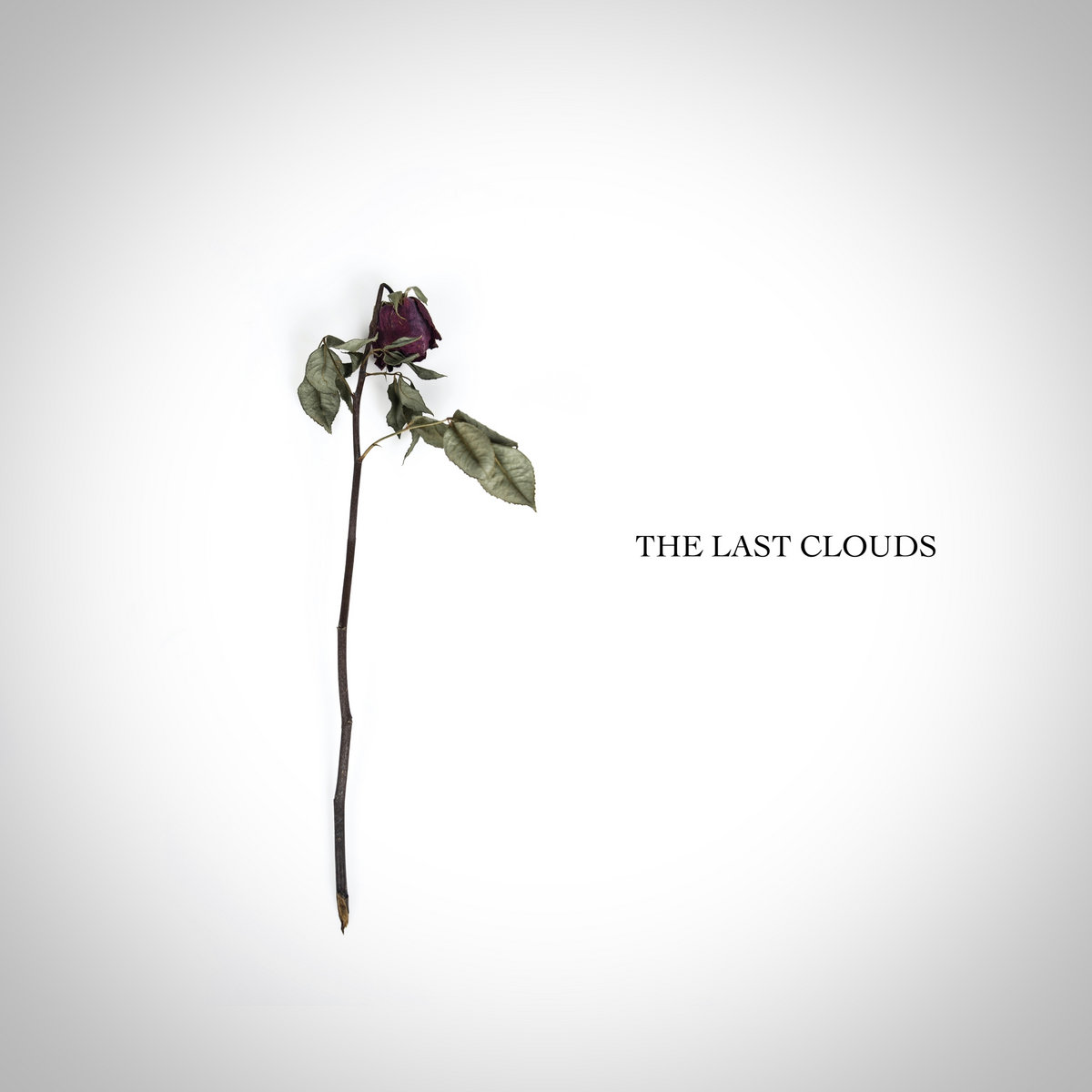 Illuminism | The Last Clouds