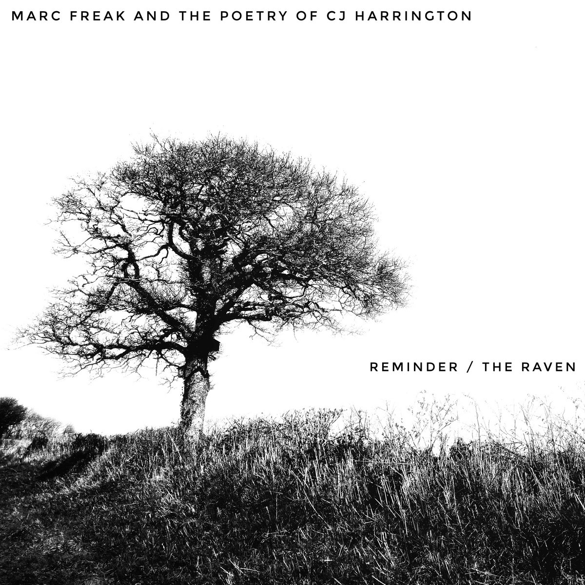 The Poetry of CJ Harrington | Marc Freak