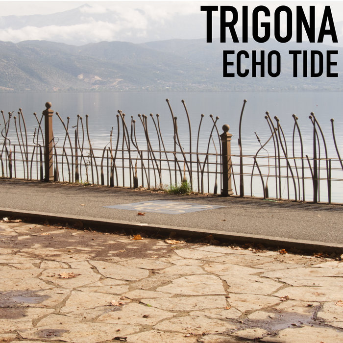 Echo Tide | Trigona
