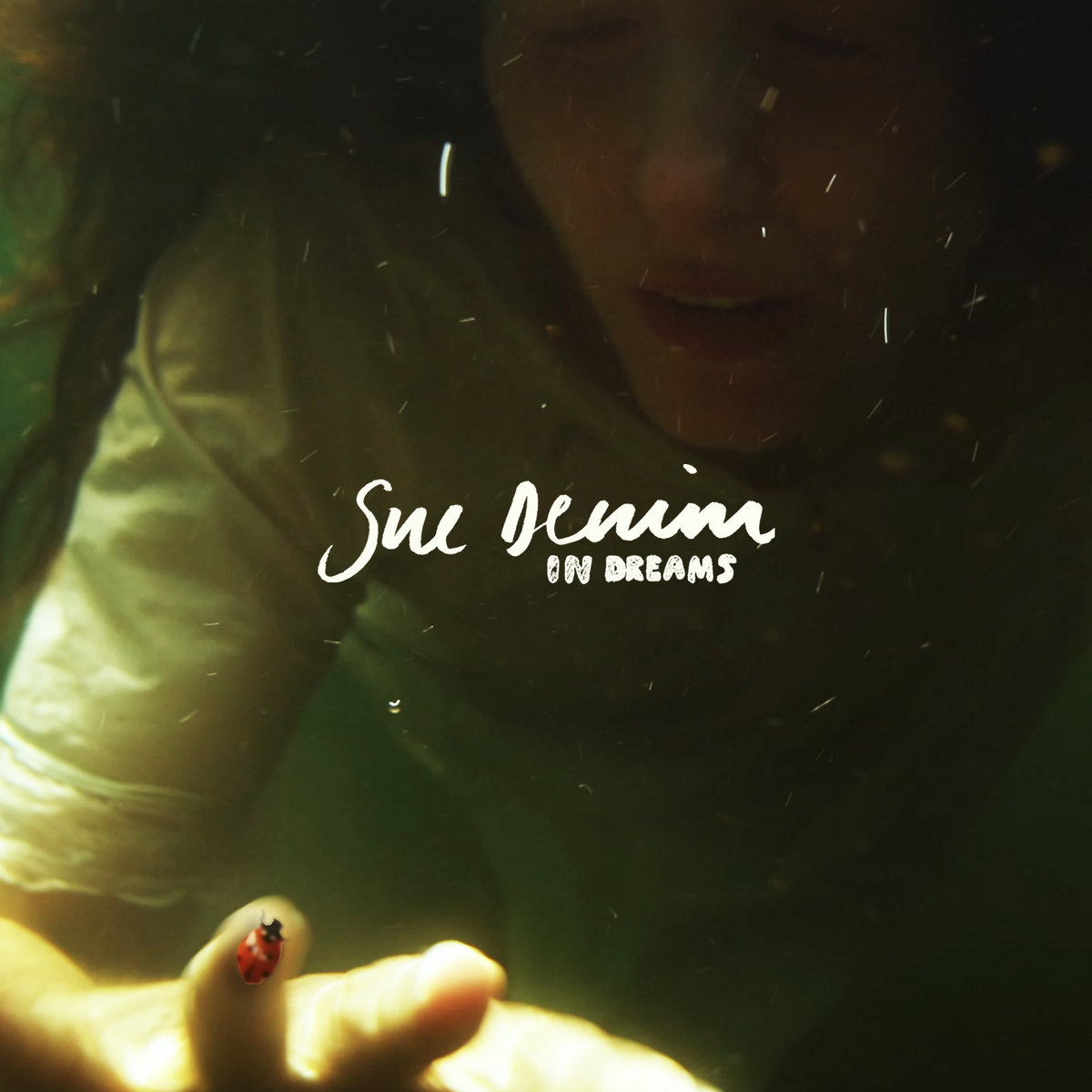IN DREAMS | SUE DENIM | HOT PUMA Records