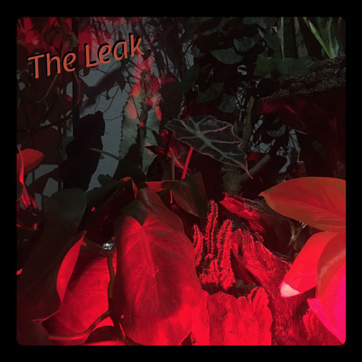 The Leak | The Leak