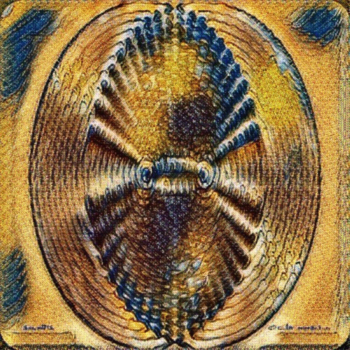 Circular Momentum | SoLaRiS