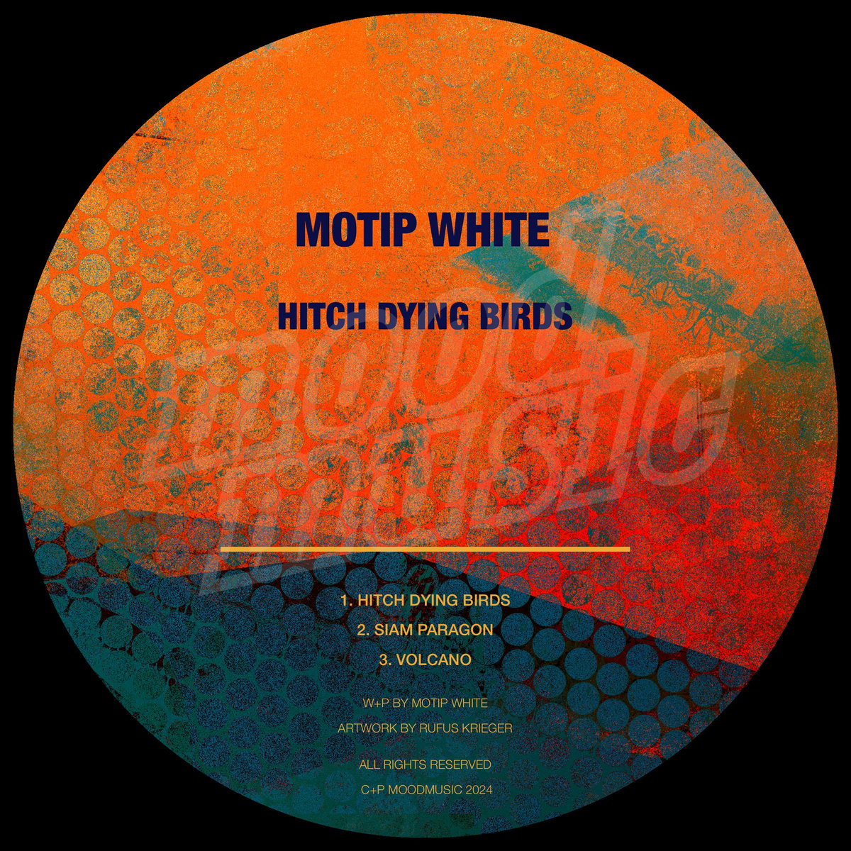 Hitch Dying Birds | Motip White | Moodmusic Records