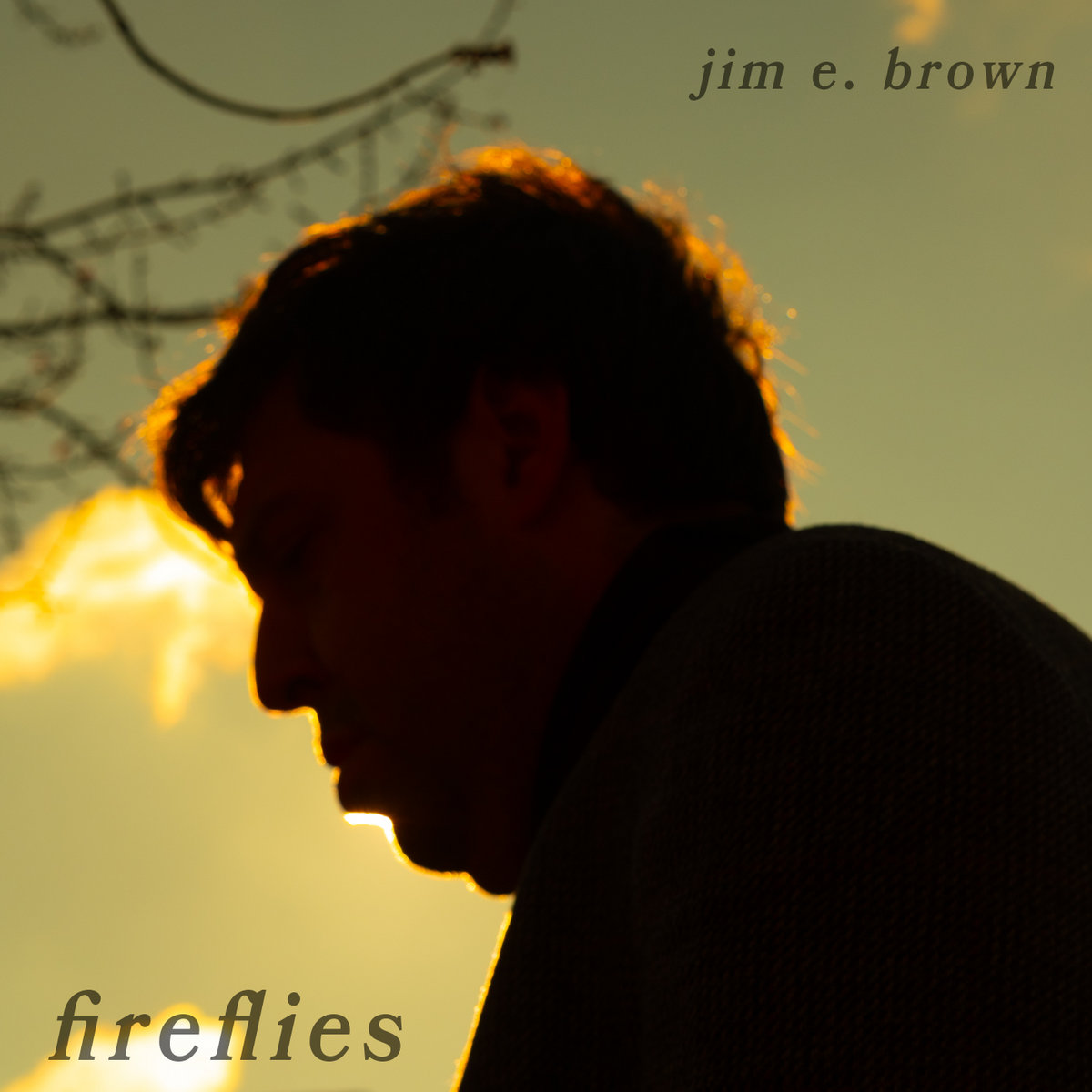 Fireflies | Jim E. Brown