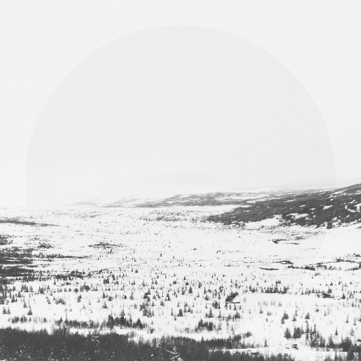 The Journey Tapes (Deluxe Edition) | Ed Carlsen | Moderna Records