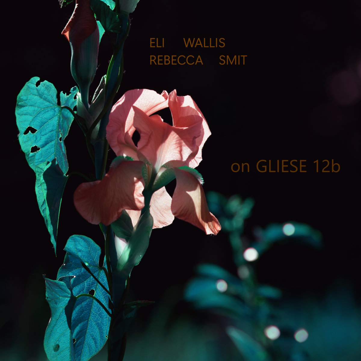 on Gliese 12b | Eli Wallis