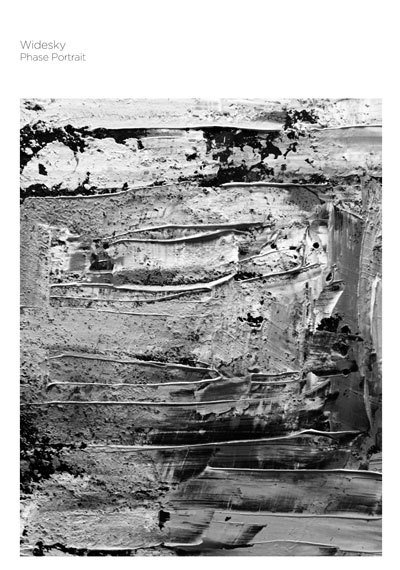 Phase Portrait | Widesky | Seth Chrisman