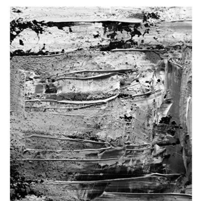 Phase Portrait | Widesky | Seth Chrisman