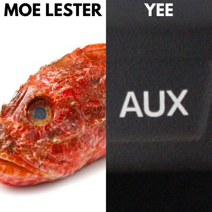 Moe Lester & Yee | Moe Lester & Yee